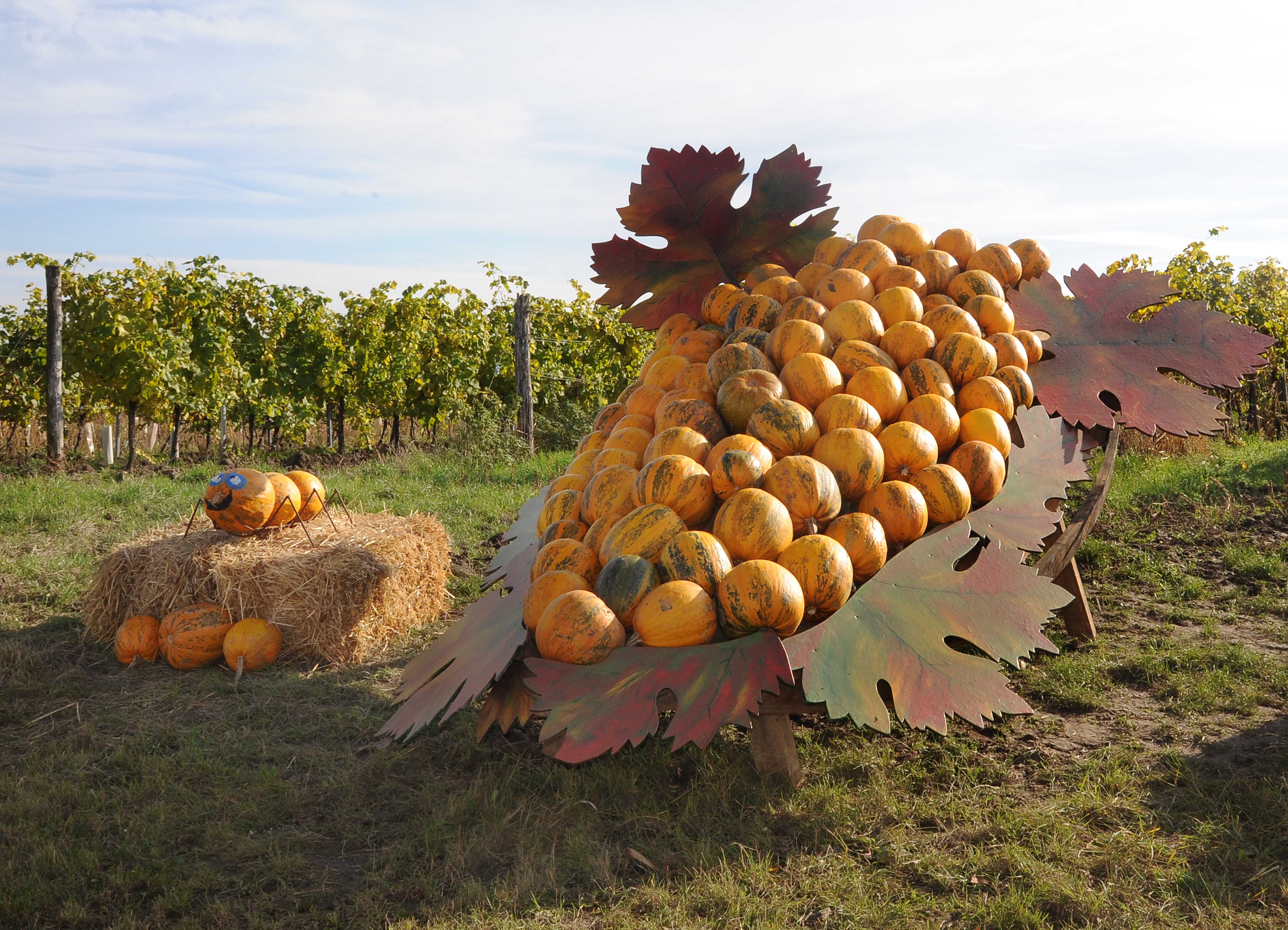 Kürbisfeste in Unterretzbach und Zellerndorf im RETZER LAND - Presse